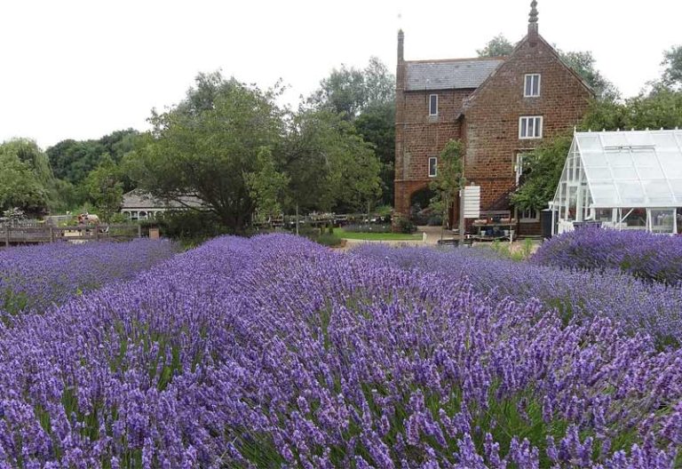 Homepage - Old Station Heacham | Unique Self-Catering Holiday ...